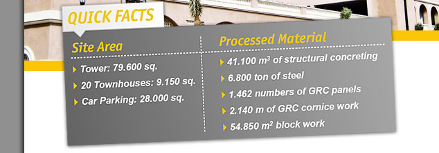 CDC Qatar - eNews 02|2009