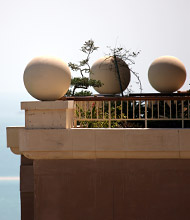 CDC Qatar - eNews 01|2010